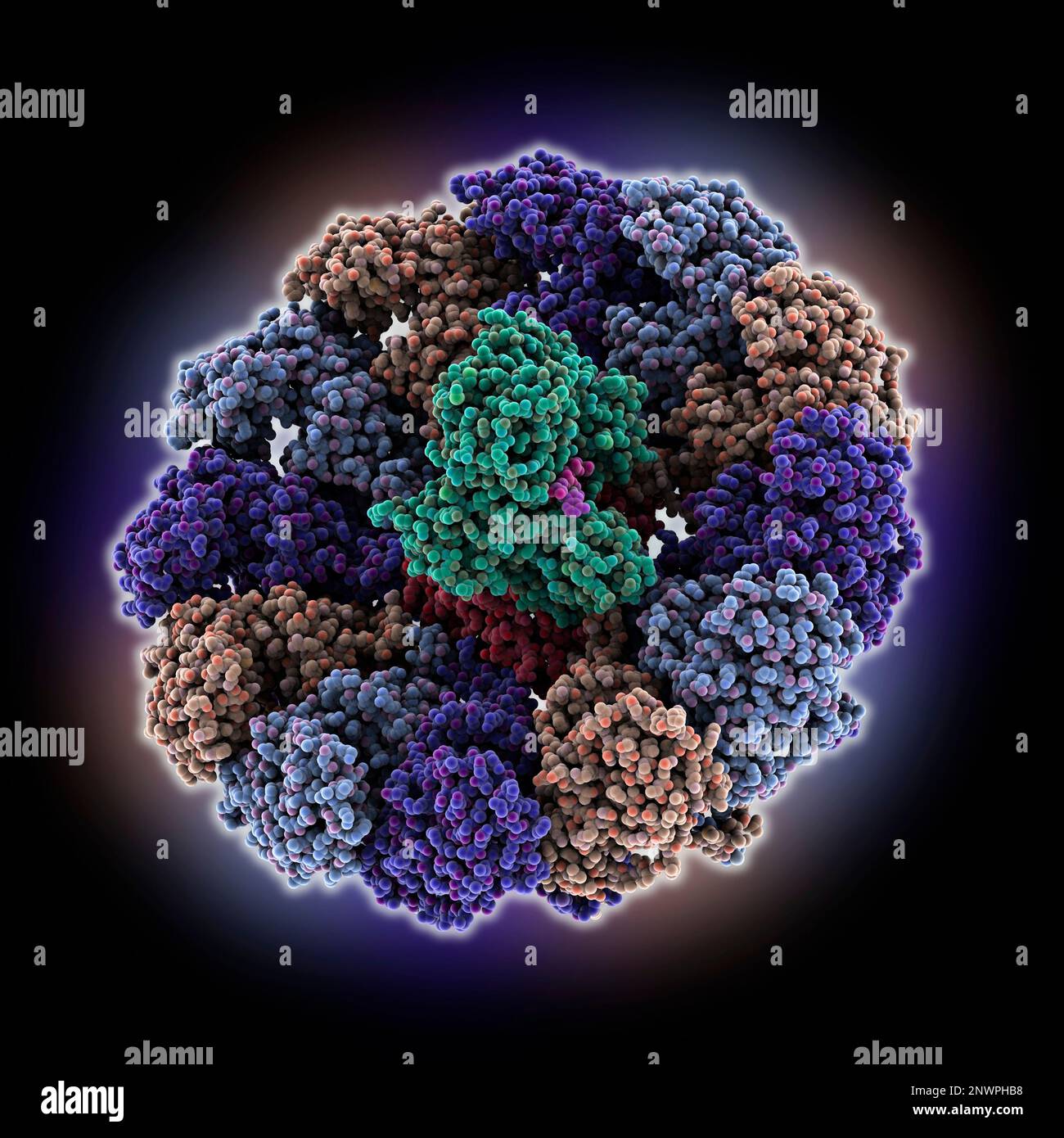 Chikungunya virus replication complex, illustration Stock Photo - Alamy