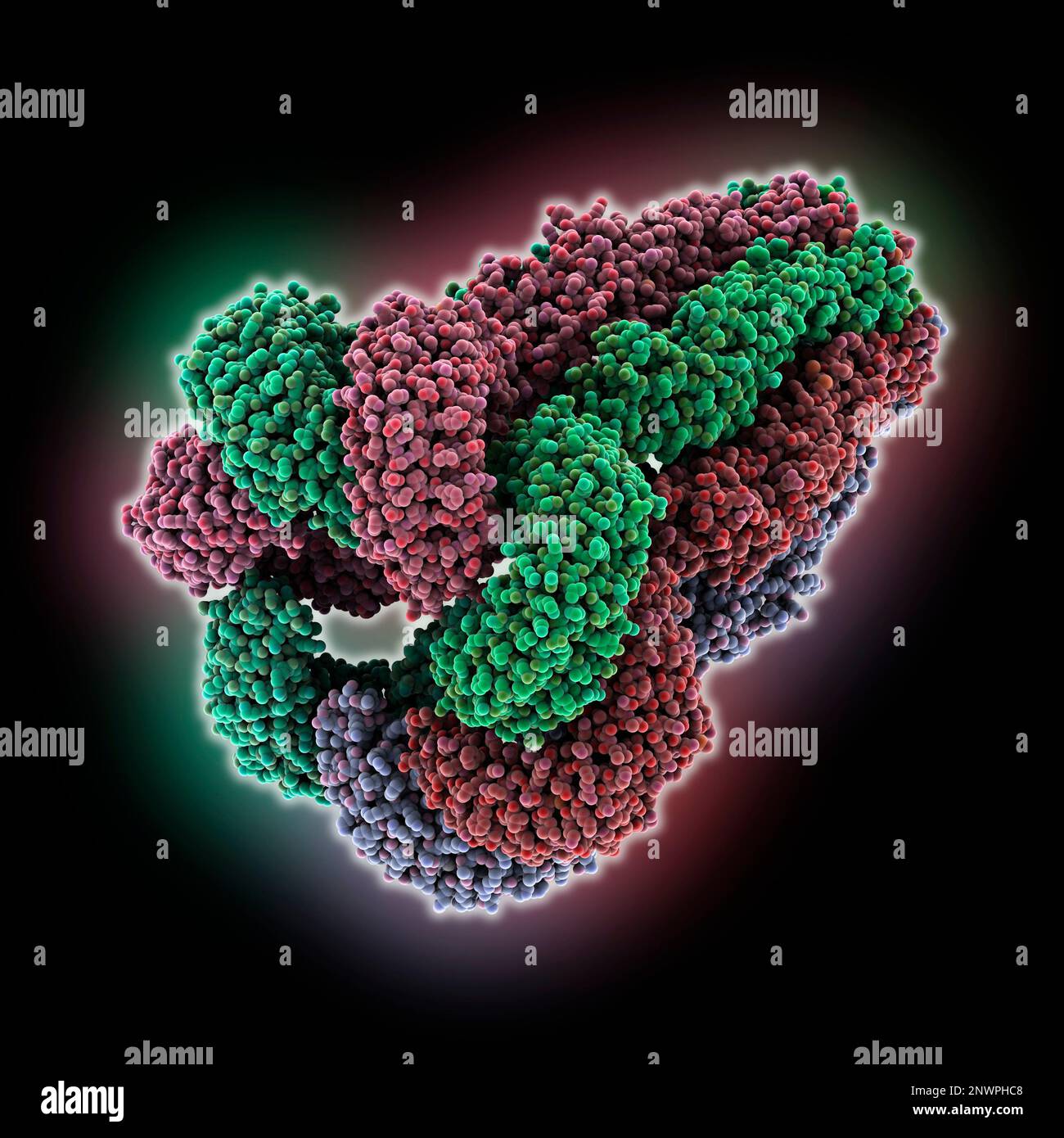 LRRC8C anion channel, illustration Stock Photo - Alamy