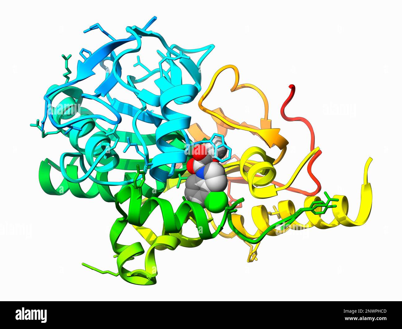 Notum carboxylesterase with inhibitor, illustration Stock Photo - Alamy