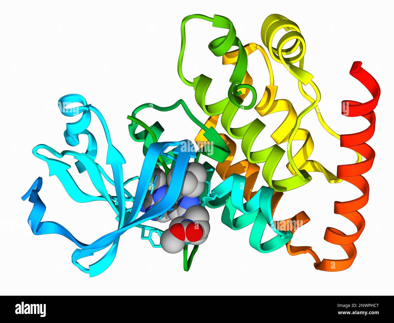 Dual leucine zipper kinase complex, illustration Stock Photo - Alamy