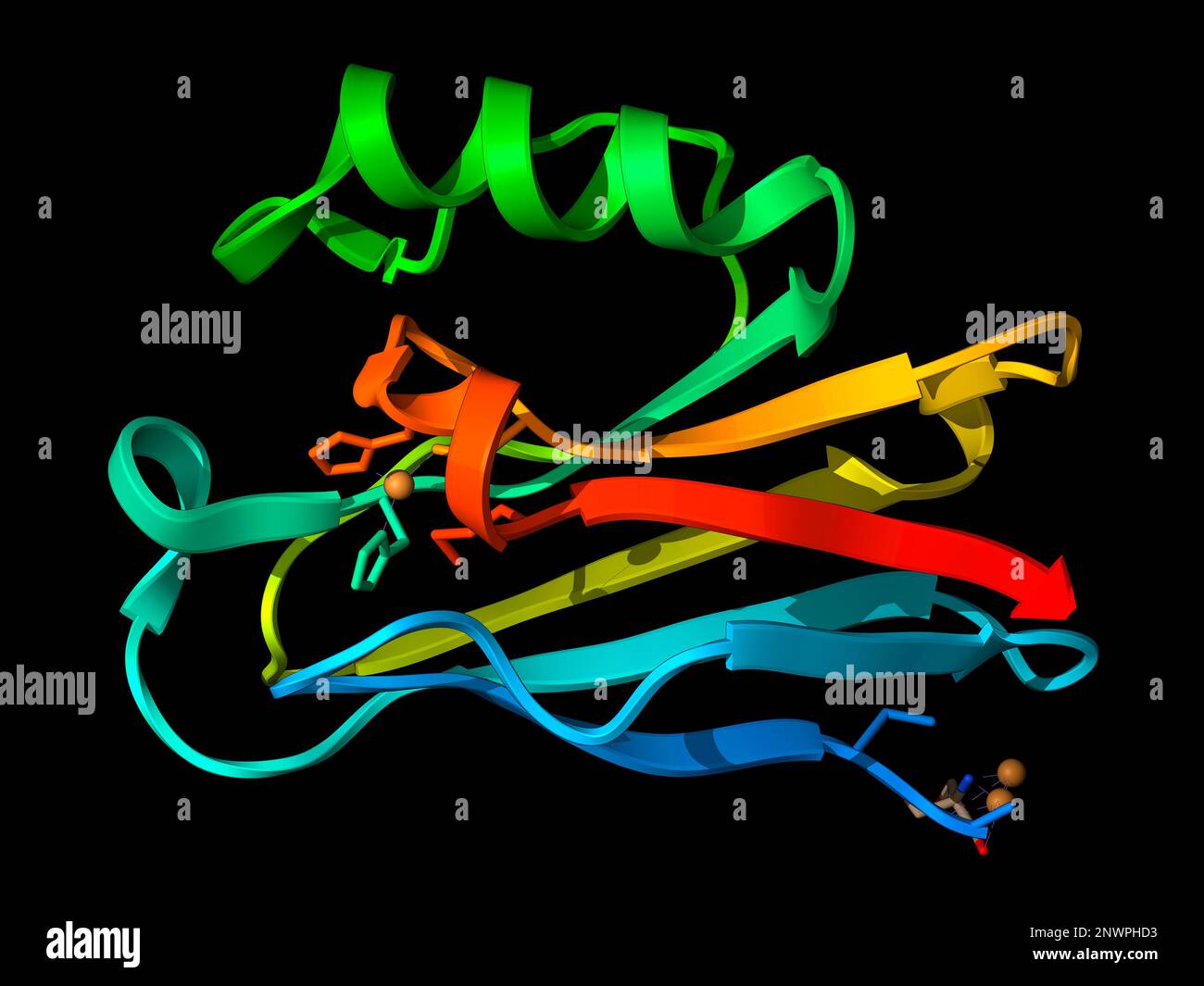 Azurin from Pseudomonas aeruginosa, illustration Stock Photo - Alamy