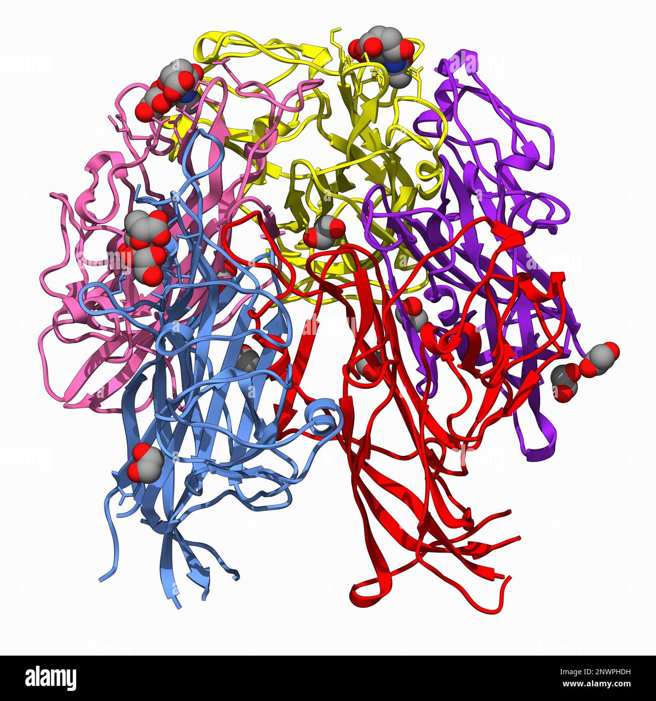 JC Polyoma virus capsid protein complex, illustration Stock Photo - Alamy