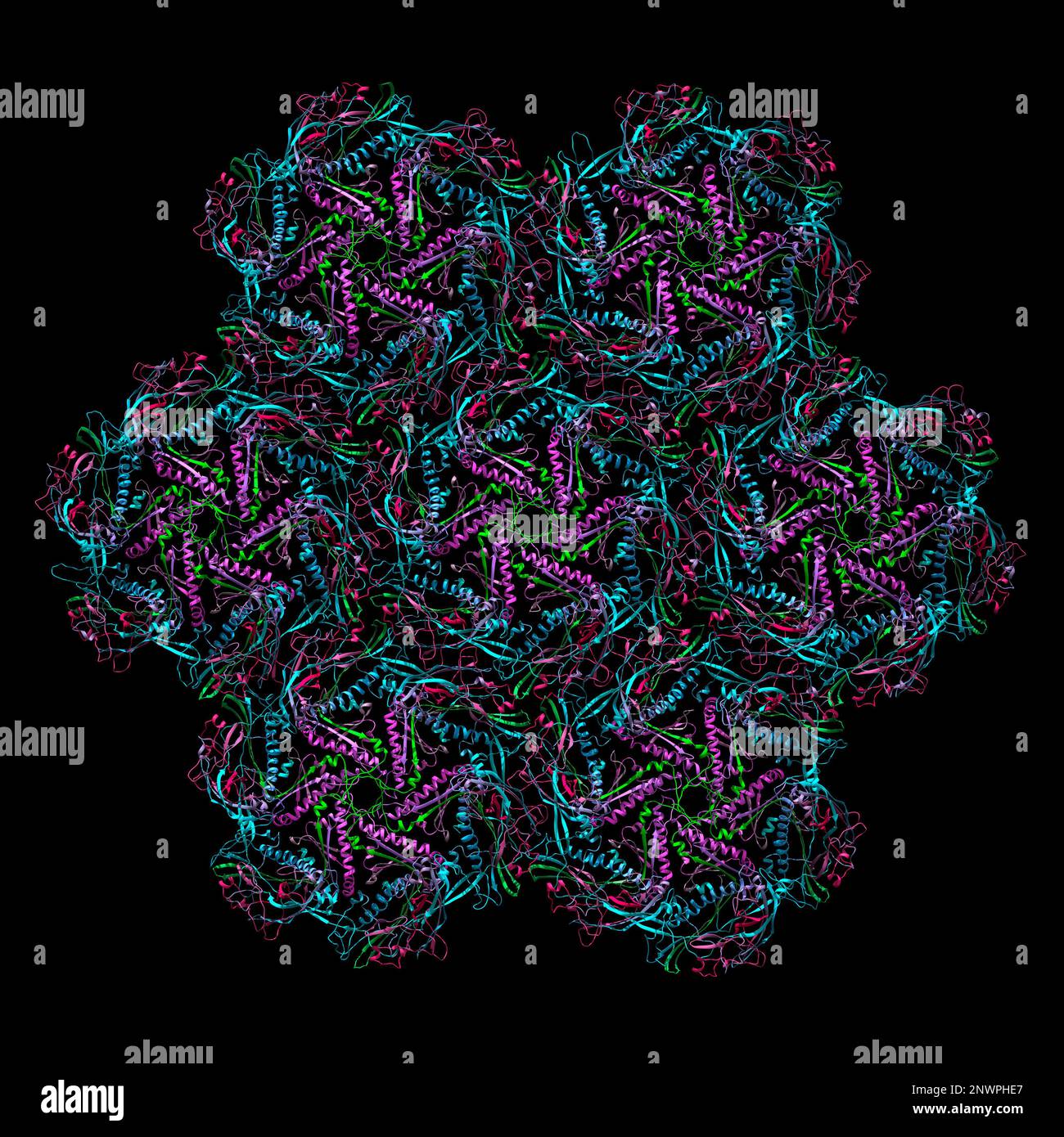 Jumbo phage empty capsid hexamers, illustration Stock Photo - Alamy