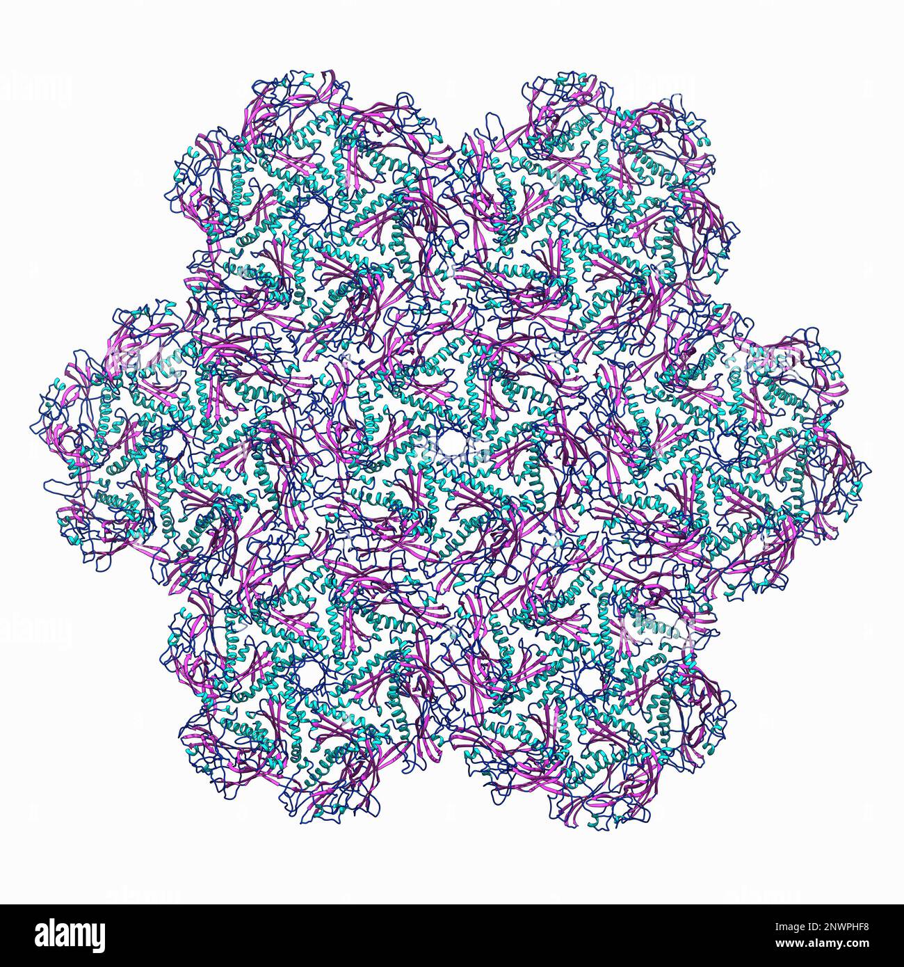 Jumbo phage empty capsid hexamers, illustration Stock Photo - Alamy