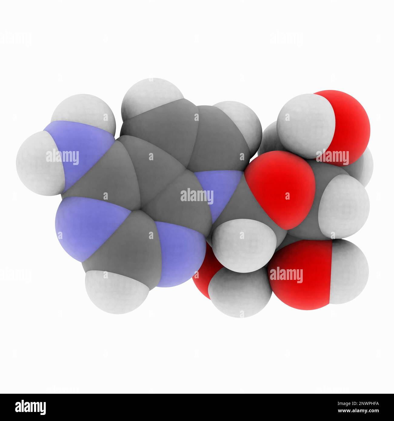 Tubercidin, molecular model, illustration Stock Photo - Alamy