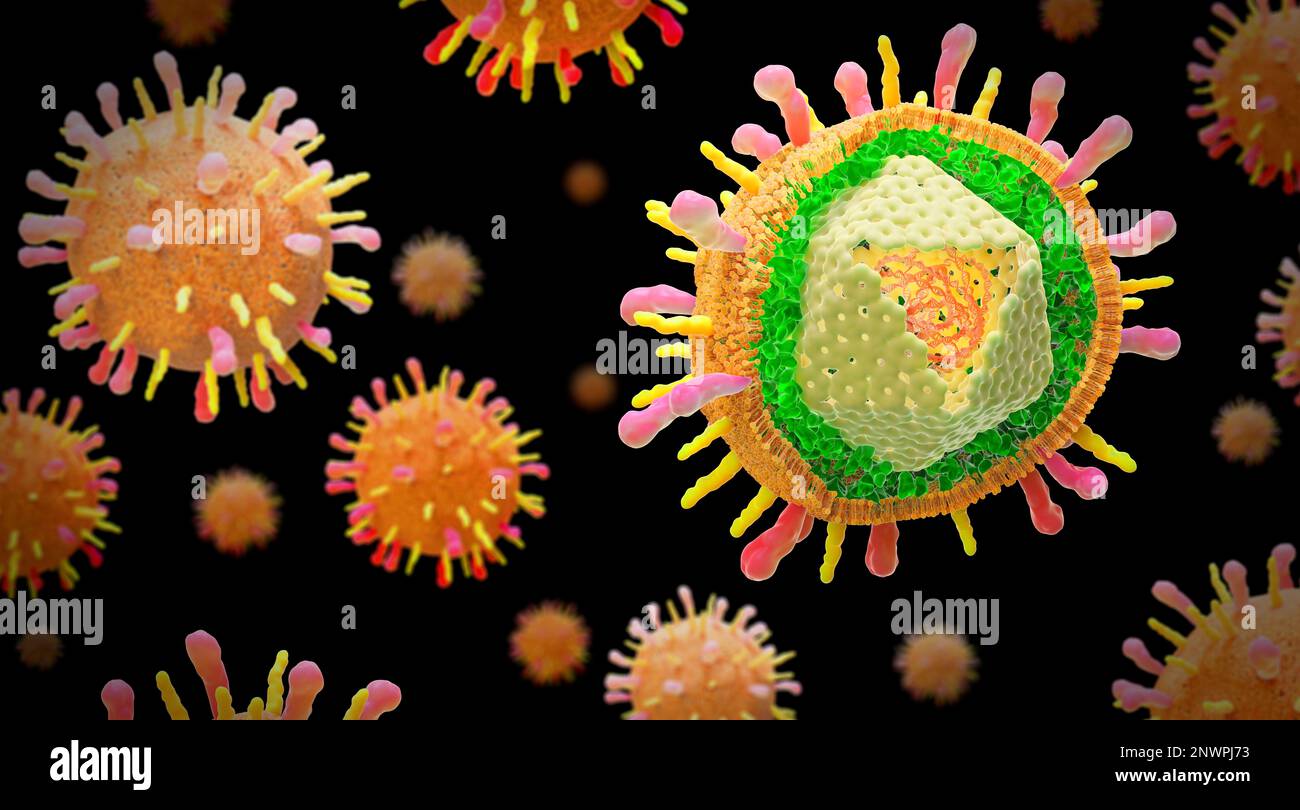 Varicella zoster virus particles, illustration Stock Photo - Alamy