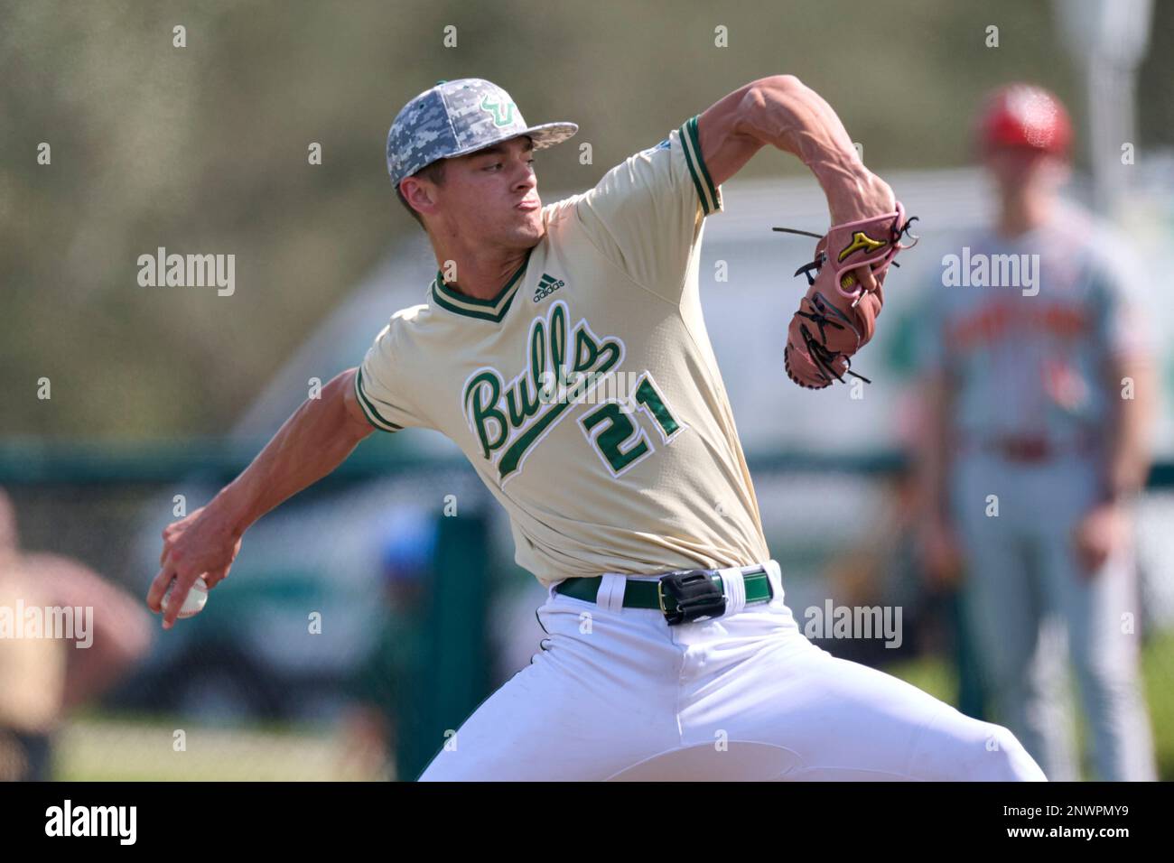 USF Bulls pitcher Tyler Dietz (21) during an NCAA baseball game against ...