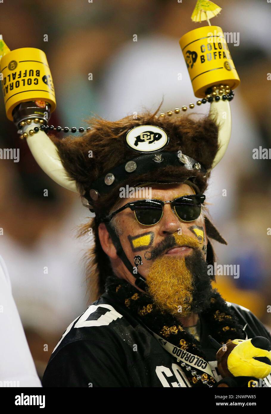 DENVER, CO - AUGUST 31: A Colorado University Buffaloes fan during a ...