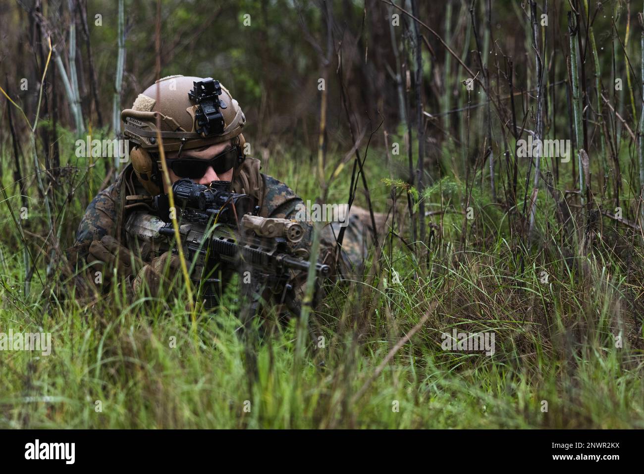 A U.S. Marine with Alpha Company, 3rd Light Armored Reconnaissance ...