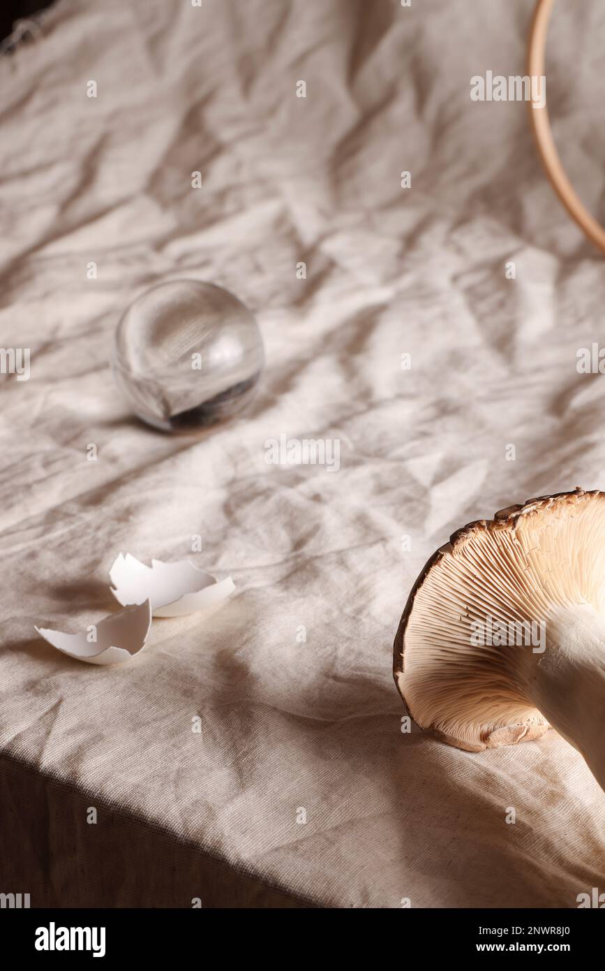 boho and kinfolk design. composition from different items.mushroom ...