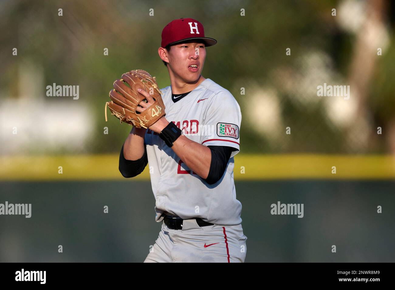 Harvard Crimson pitcher Callan Fang (25) during an NCAA baseball game ...