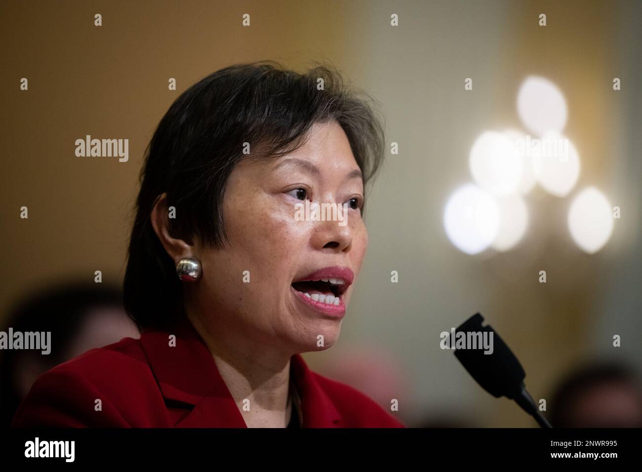 Human rights activist Tong Yi testifies during a House Select Committee ...