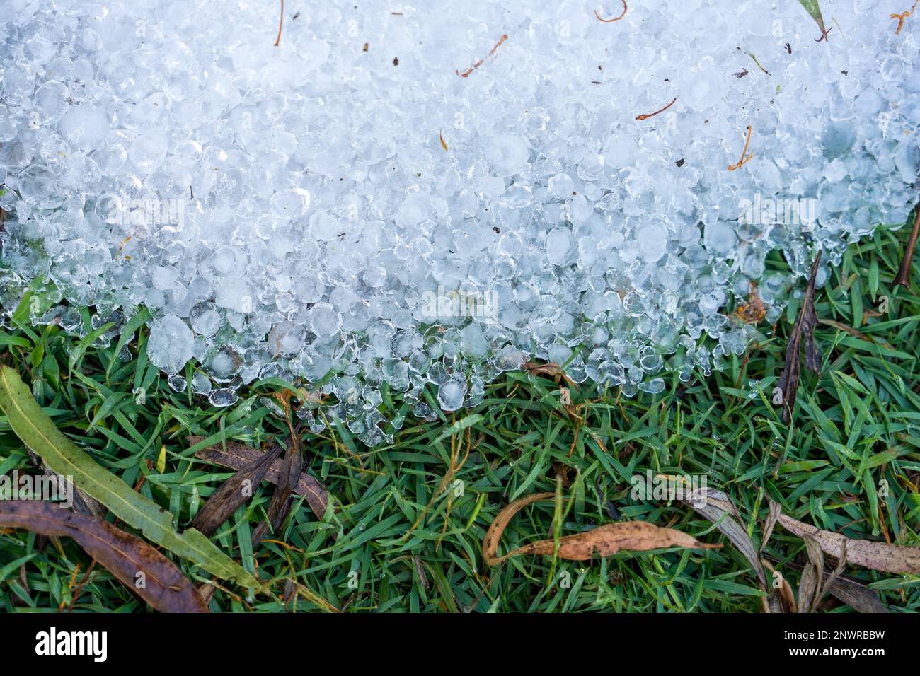 A pile of small hailstones on the grass Stock Photo - Alamy