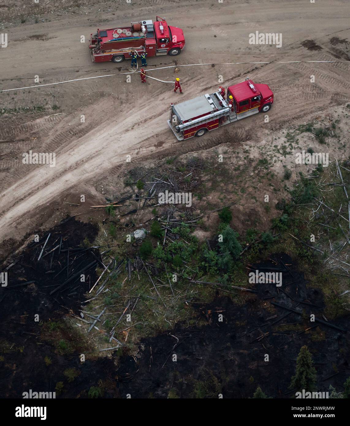 Firefighters work in an area where a controlled burn was conducted ...