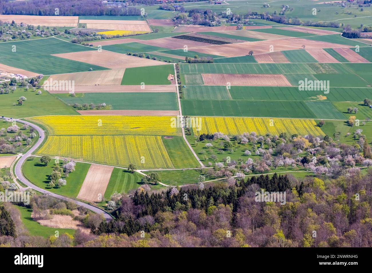 Spring from baden country hi-res stock photography and images - Alamy