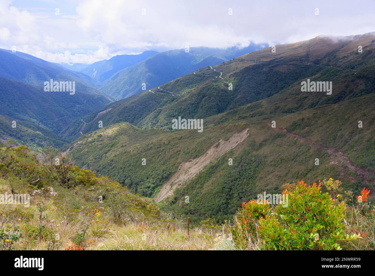 Tropical Cloud Forest landscape, Manu National Park, Peru Stock Photo ...