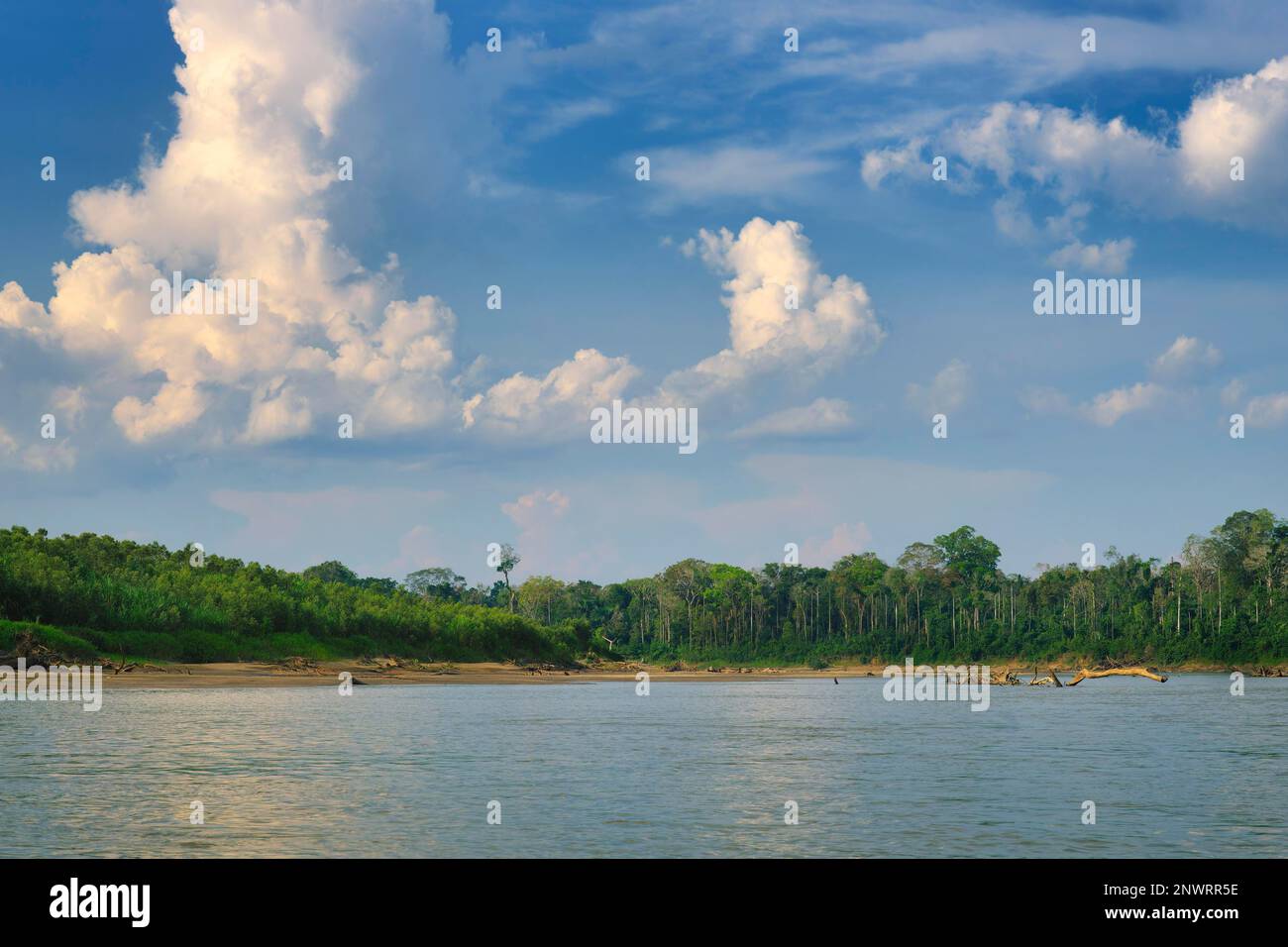 Amazon Tropical rain Forest along the Rio Colorado, Peruvian Amazon ...