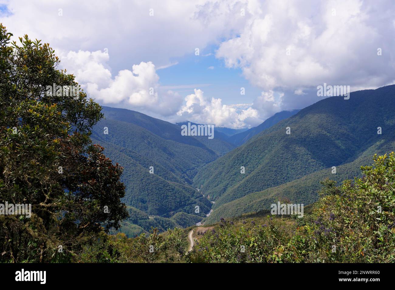 Tropical Cloud Forest landscape, Manu National Park, Peru Stock Photo ...