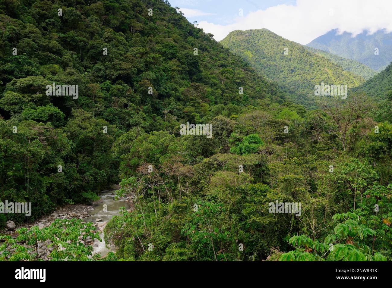 Tropical Cloud Forest landscape, Manu National Park, Peru Stock Photo ...
