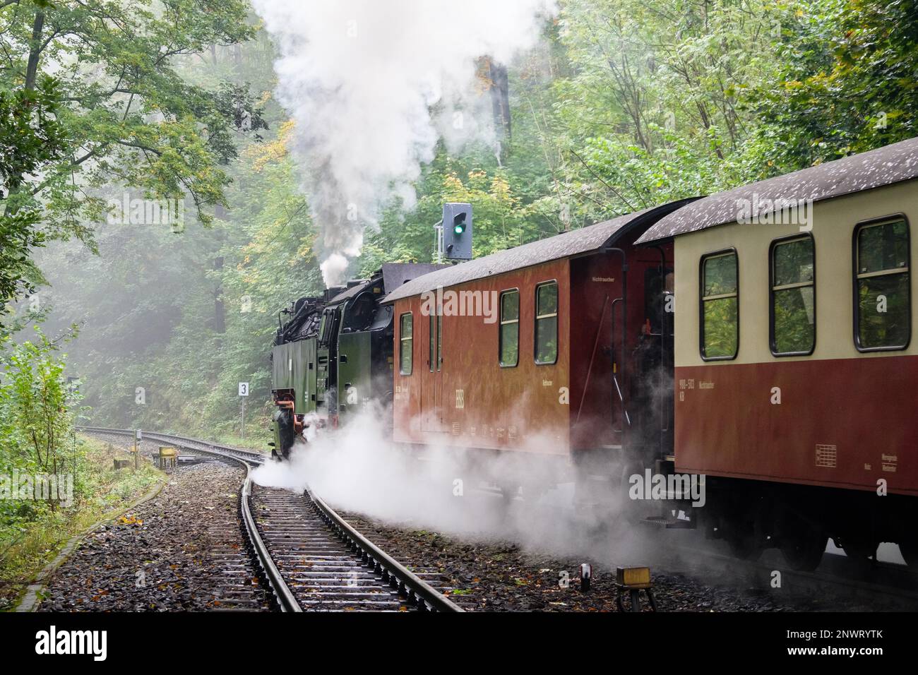 Autumn in the Harz National Park Steinerne Renne railway station with ...
