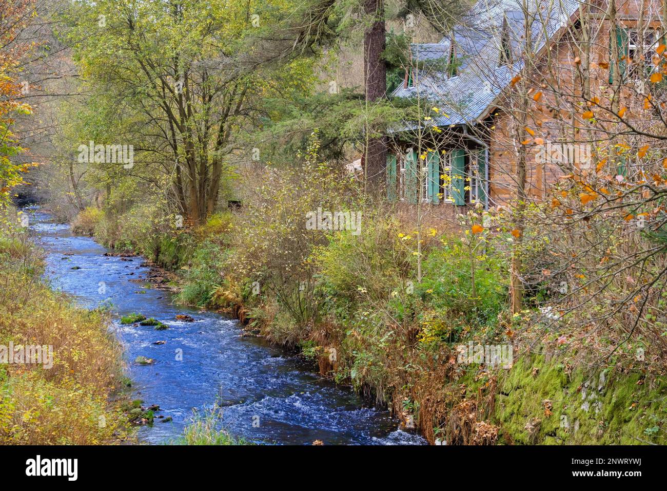 Selketal Forester's Lodge Wire Train Selketal-Stieg Harz Stock Photo ...