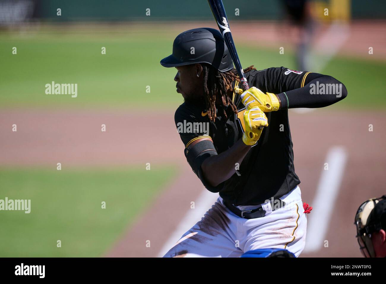 Pittsburgh Pirates Oneil Cruz (15) bats during a spring training ...
