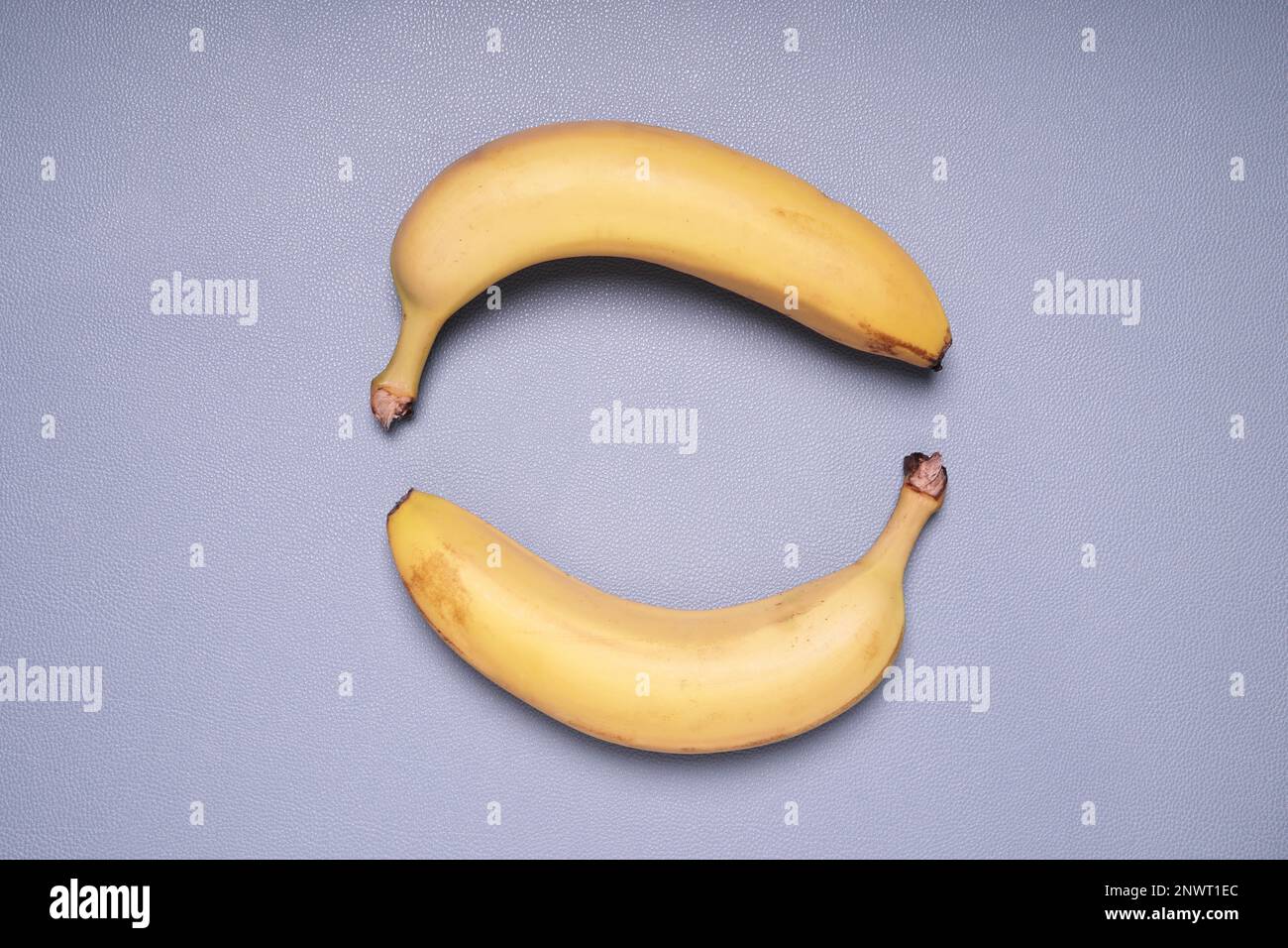 topview of two bananas forming circle shape on blue background Stock ...