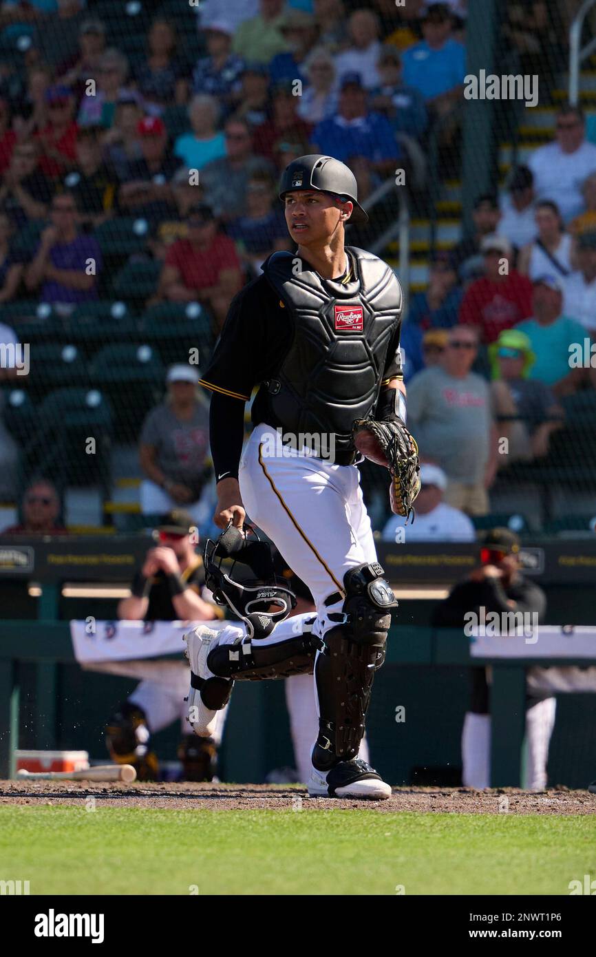 Pittsburgh Pirates catcher Endy Rodriguez (25) during a spring training ...