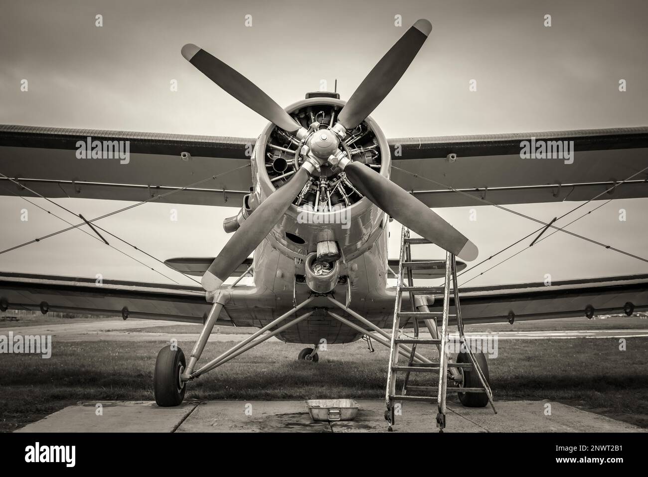 historical aircraft gets service on a meadow Stock Photo - Alamy