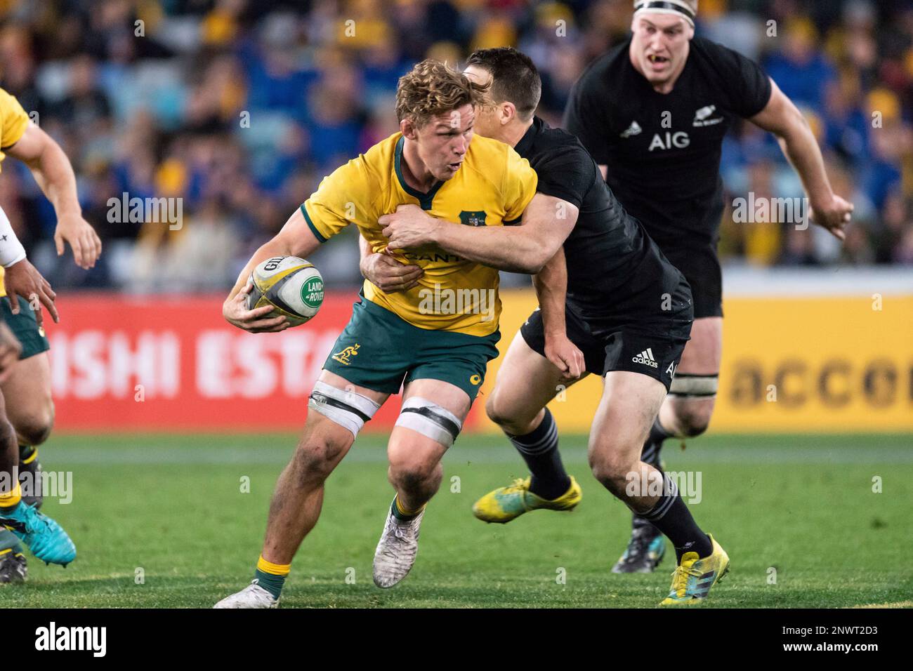 SYDNEY, AUSTRALIA - AUGUST 18: Australian player Michael Hooper (c) (7 ...