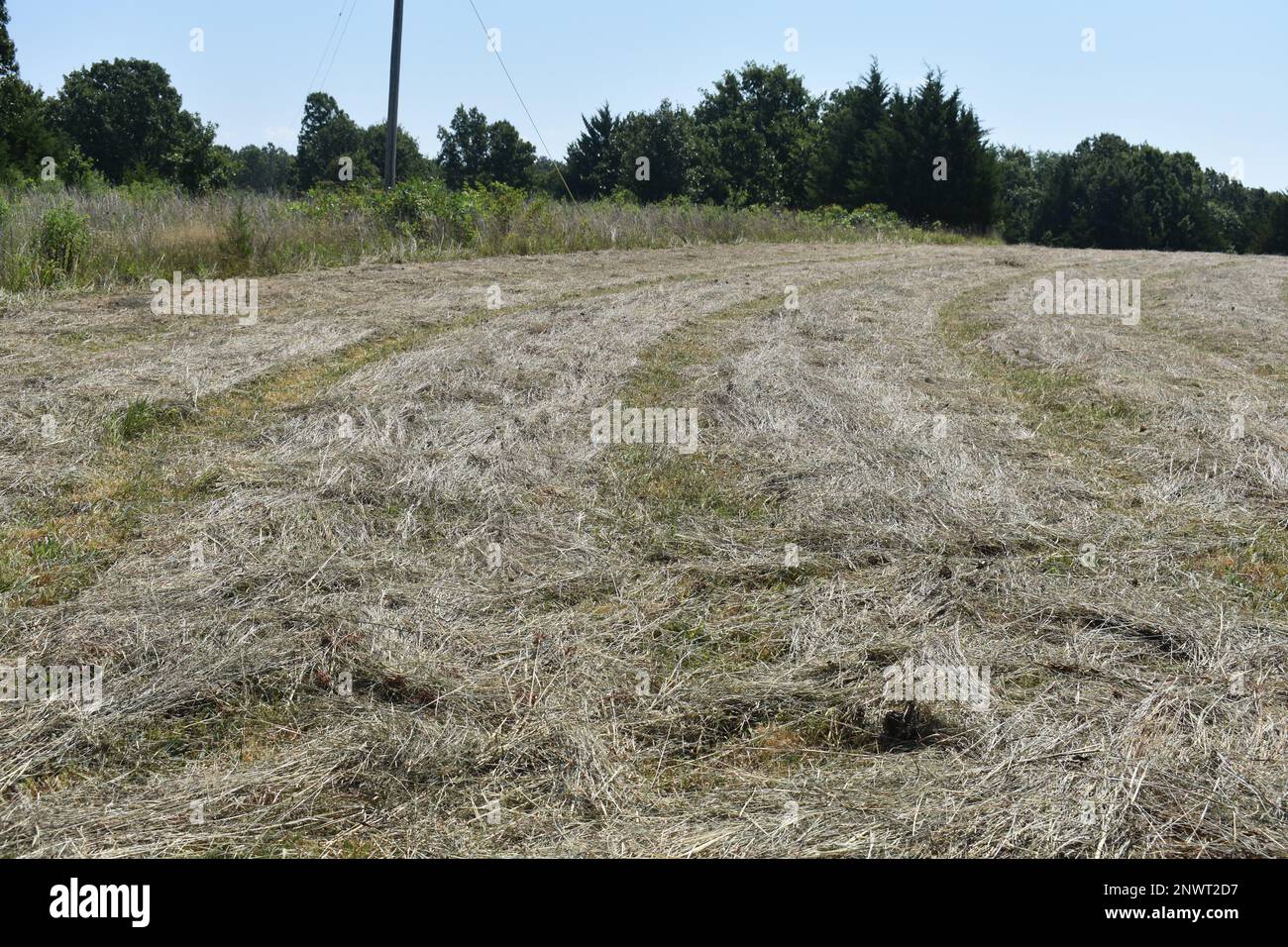 Hay piles hi-res stock photography and images - Alamy