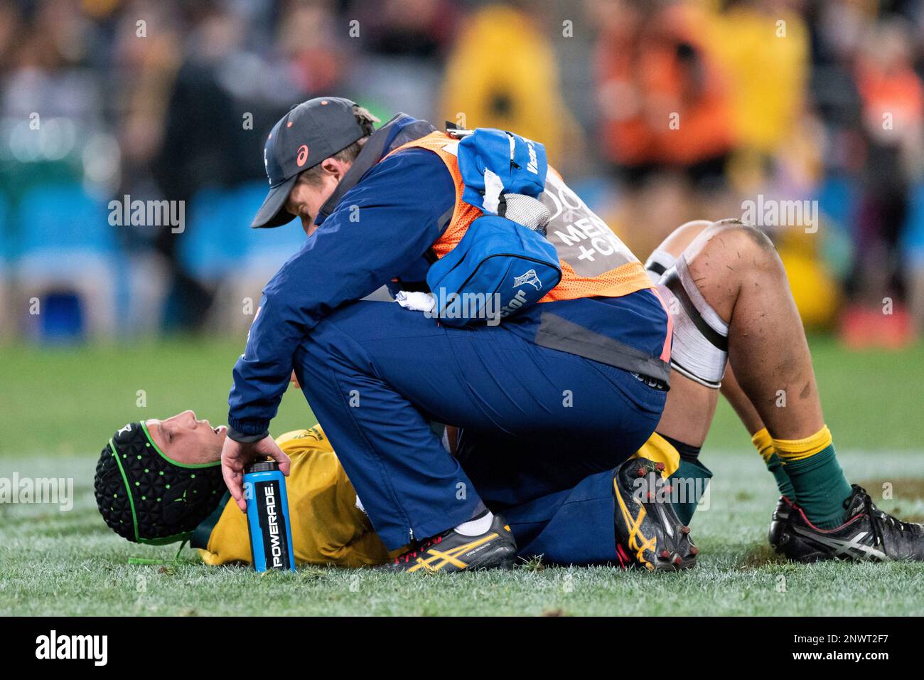 SYDNEY, AUSTRALIA - AUGUST 18: Australian player Adam Coleman (5 ...