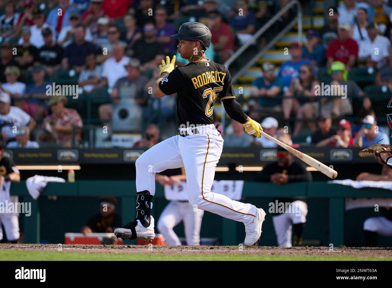 Pittsburgh Pirates Endy Rodriguez (25) hits a single during a spring ...