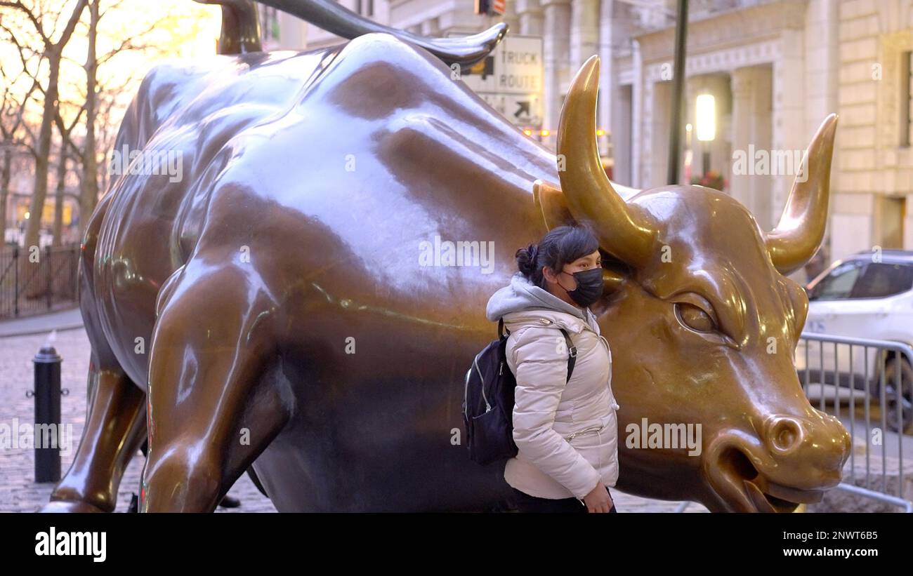 Charging Bull statue in Manhattan financial district - NEW YORK CITY, USA - FEBRUARY 14, 2023 ...
