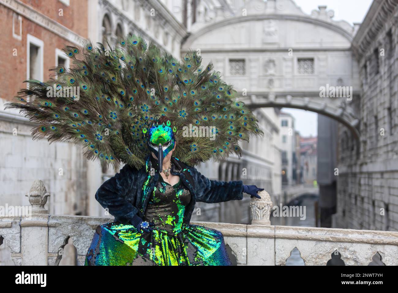 Carnevale di Venezia, elaborate masks and imaginative costumes can be ...