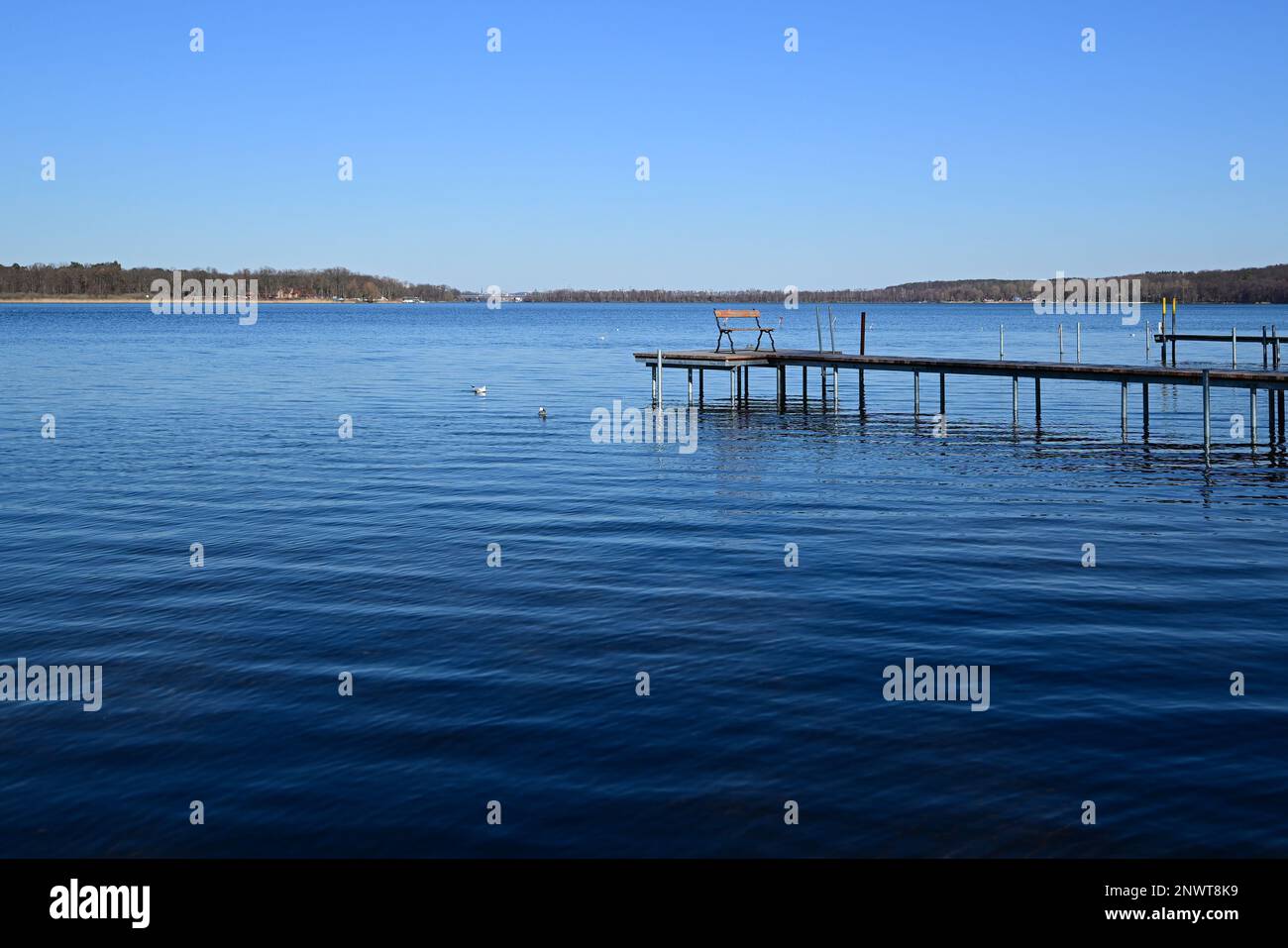 Schwielowsee, Germany. 28th Feb, 2023. A garden bench stands in the sun ...