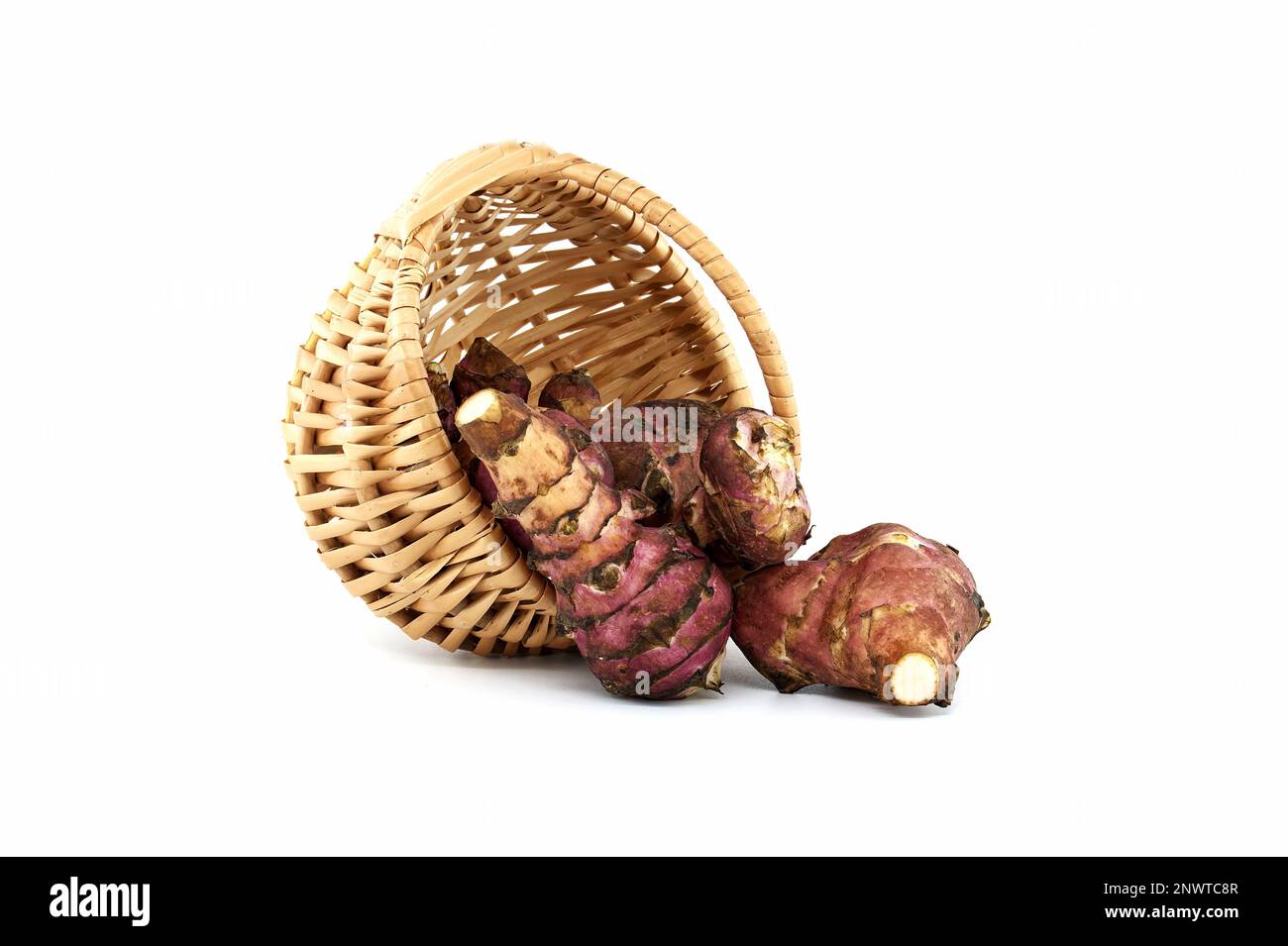 Topinambur (Helianthus tuberosus), also called sunroot, sunchoke, wild ...