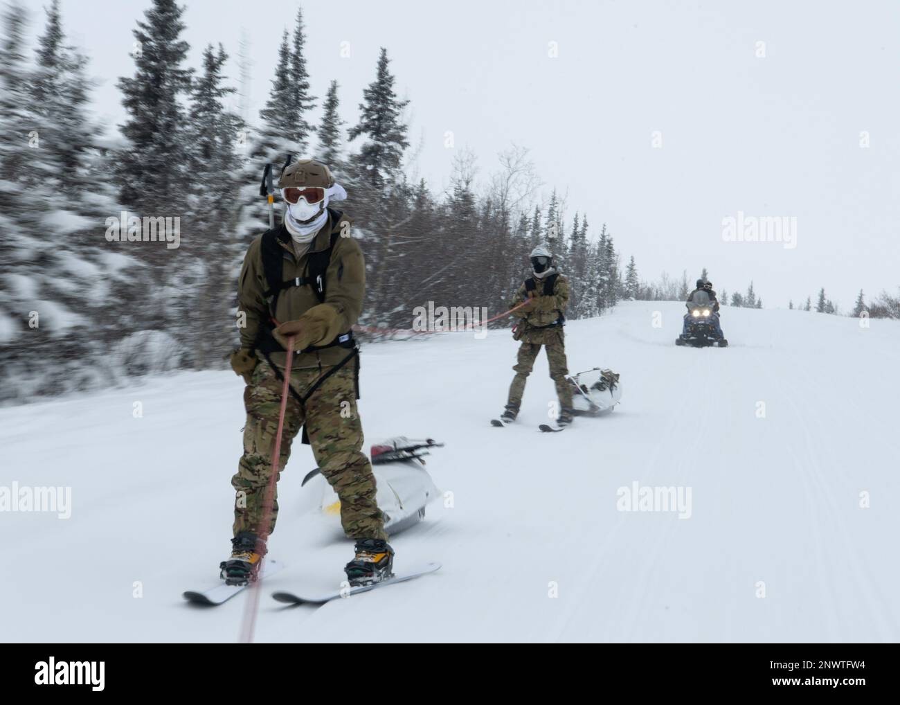 Cross country ski and denali hi-res stock photography and images - Alamy