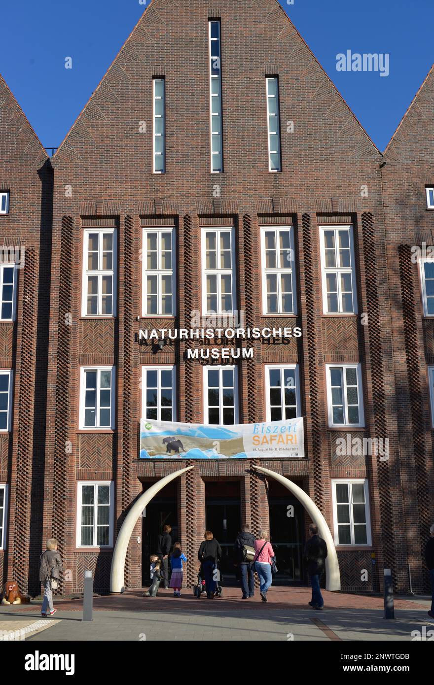 Natural History Museum, Pockelstrasse, Braunschweig, Lower Saxony ...