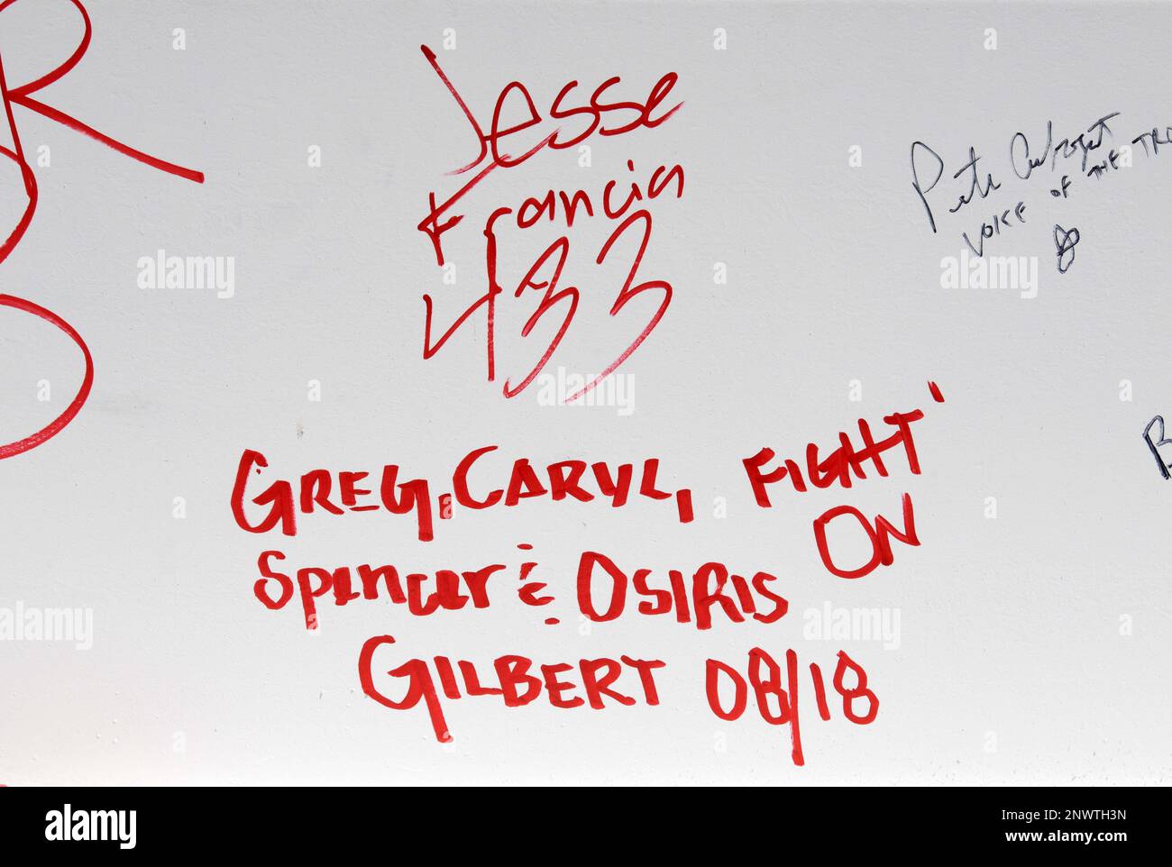 Detailed view of Fight on message of the Gilbert family (Greg Gilbert ...