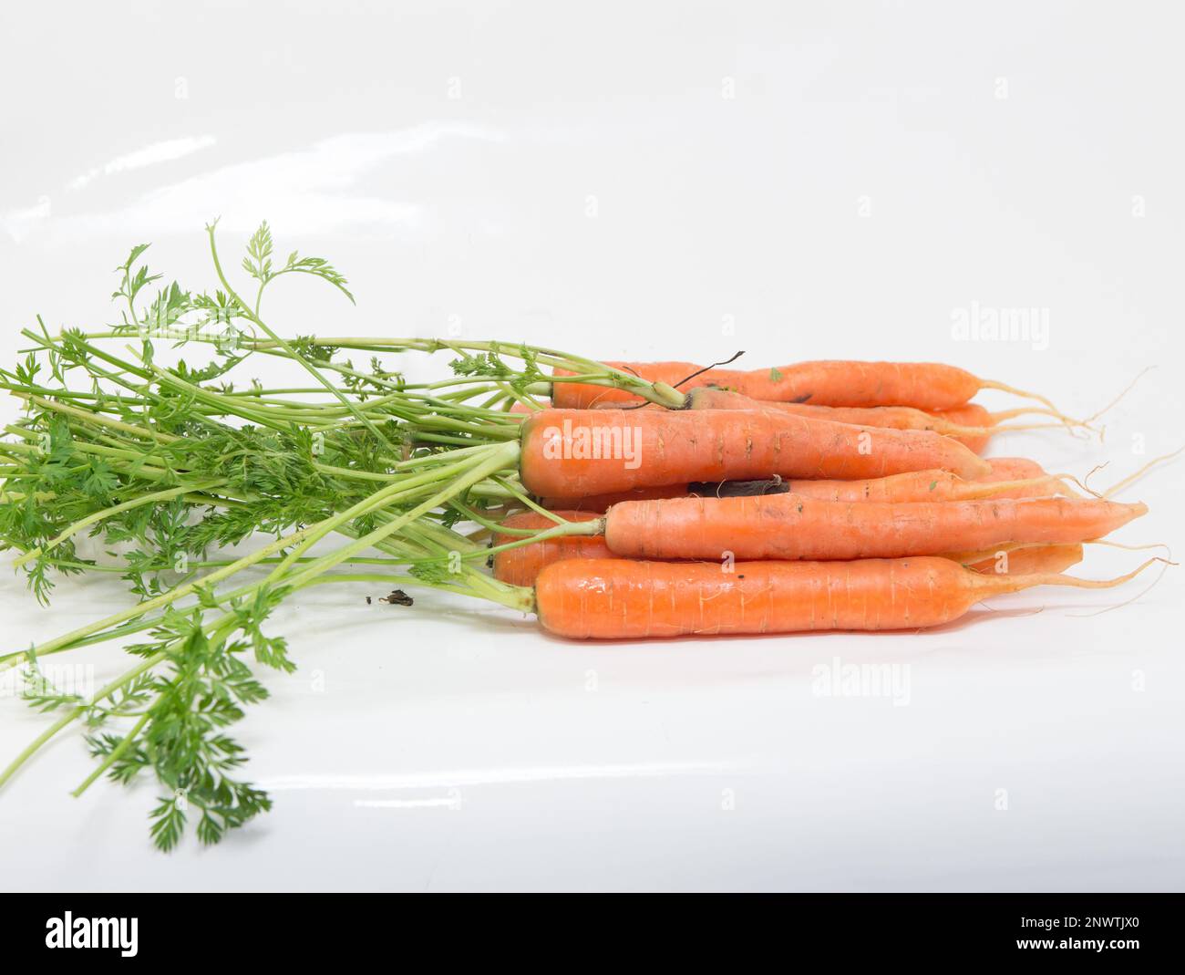 Fresh grown carrots on white hi-res stock photography and images - Alamy