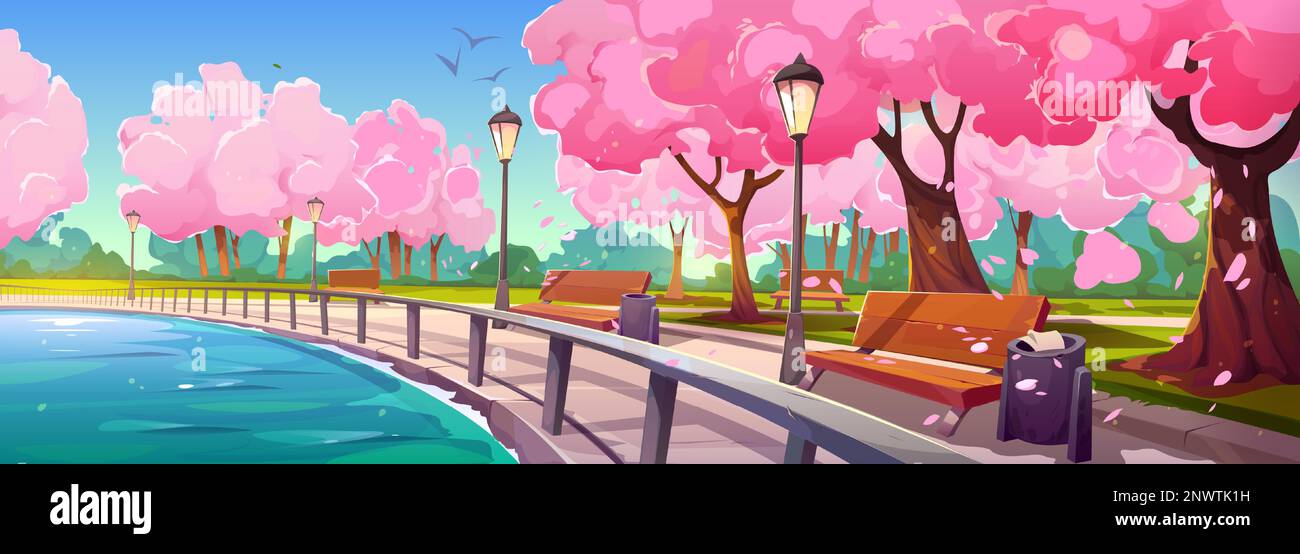 Riverside park with sakura trees blooming along promenade. Vector ...