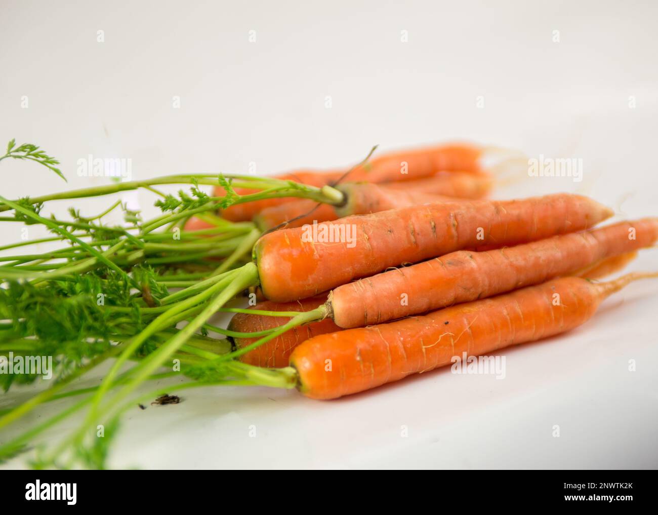 Fresh grown carrots on white hi-res stock photography and images - Alamy