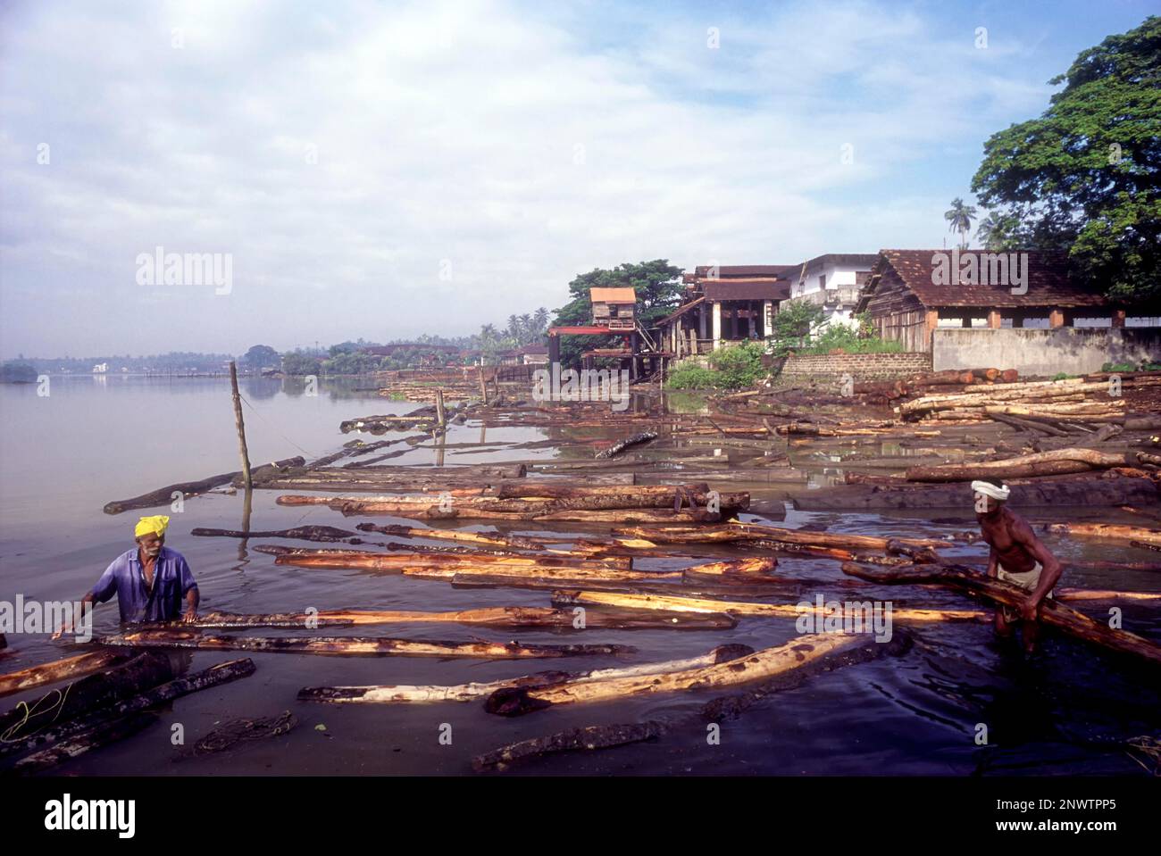 Kallai timber yard in Kallai river, Kozhikode, Kerala, India, Asia ...