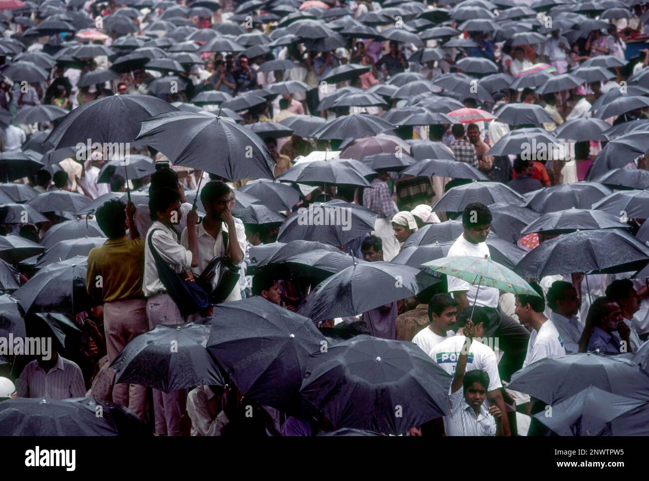 Crowd thrissur pooram hi-res stock photography and images - Alamy