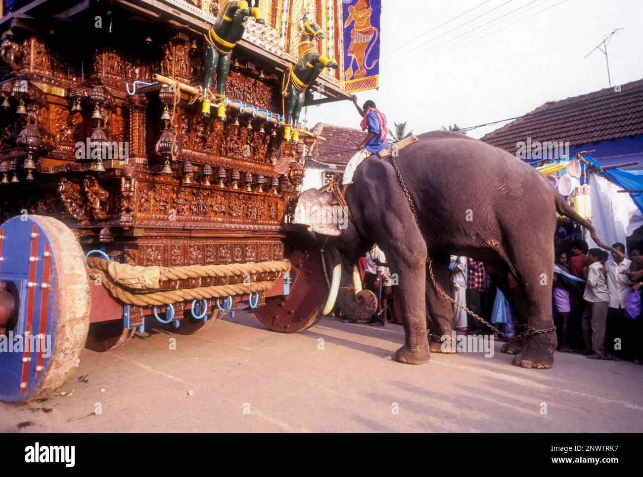 Elephant pushing the chariot in Radhotsavam or temple chariot festival ...