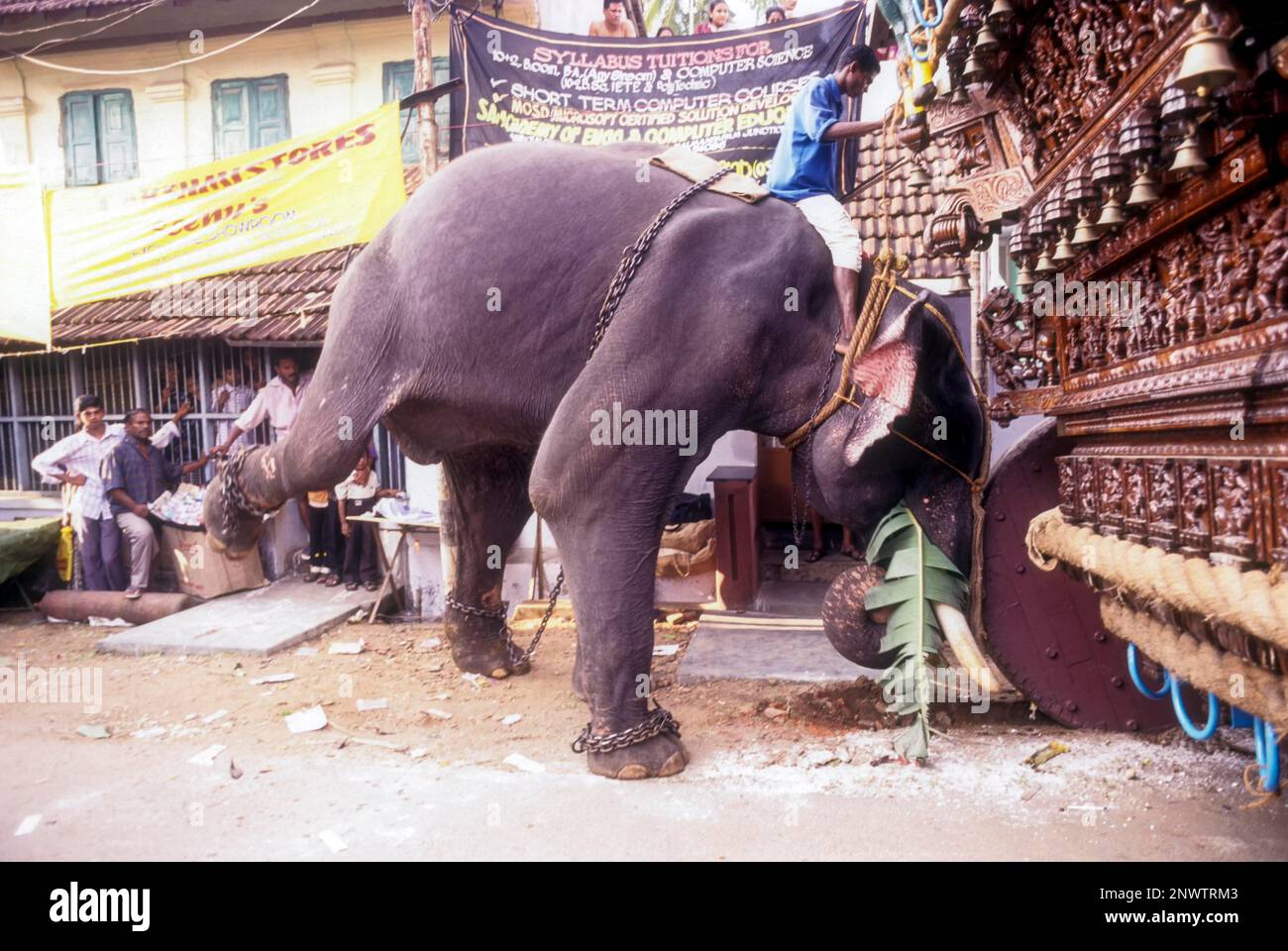 Elephant pushing the chariot in Radhotsavam or temple chariot festival ...