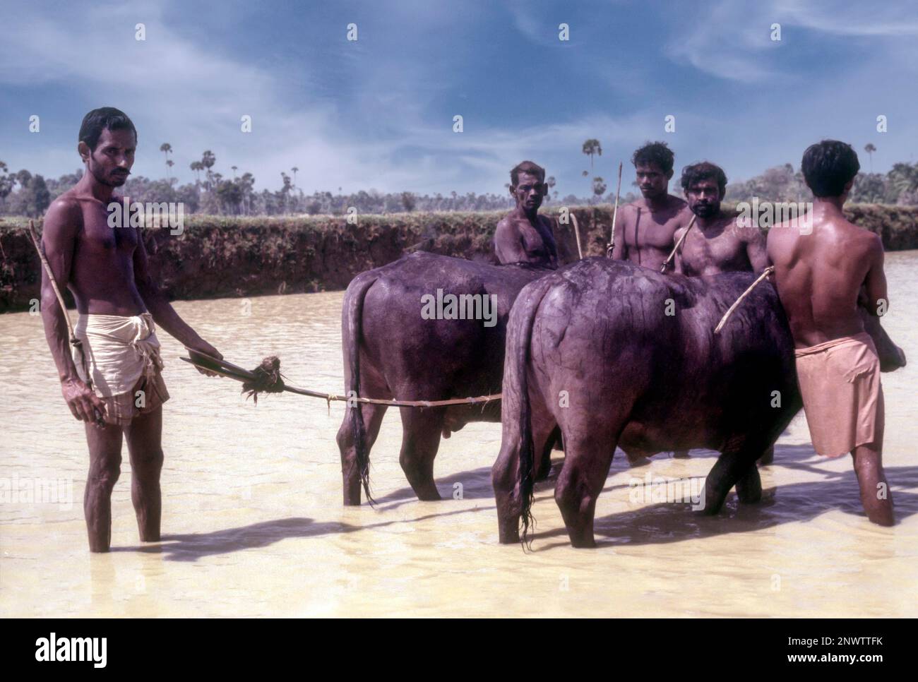 Starting position race feet hi-res stock photography and images - Alamy