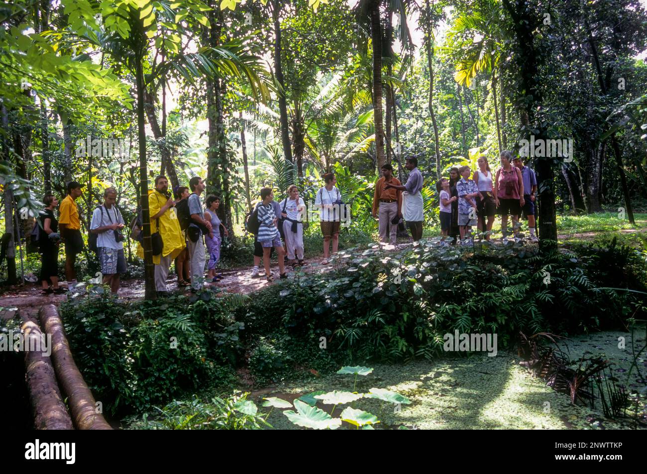 Tourists enjoying in a gramam (Village), Ettumanur, Kerala, India, Asia ...