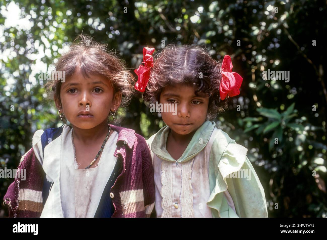 Jenu kurumba tribal children at Nagarahole, Karnataka, South India ...